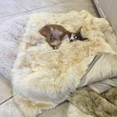 REAL SURI Alpaca Fur Throw Pillow Ultra Soft, Natural, Organic, Plush ...