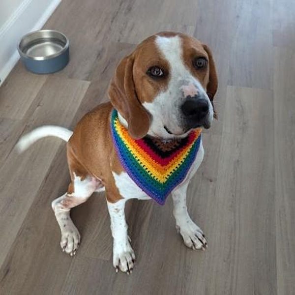 Aroace Infinity String Bracelet, Aroace Stuff Flag, Pride Bracelet ...