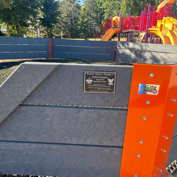 BSA Licensed AOL Den Leader Cub Scouts Plaque With Rank Insignia and ...