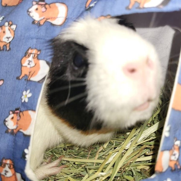 Large Hay Bag for Rabbits, Large Hay Bag for Guinea Pig, Handmade Hay ...