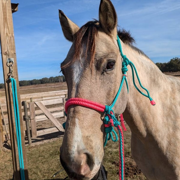 Custom Rope Halter Bitless Bridle: Woven Paracord Noseband, Natural ...