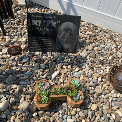 Dog Bone Planter With Succulents, Wood Planter, Succulent Gift ...