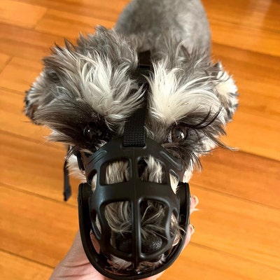 Handmade Dog Muzzle A Dog Muzzle and 1 Adjustable Fixed Rope Double ...