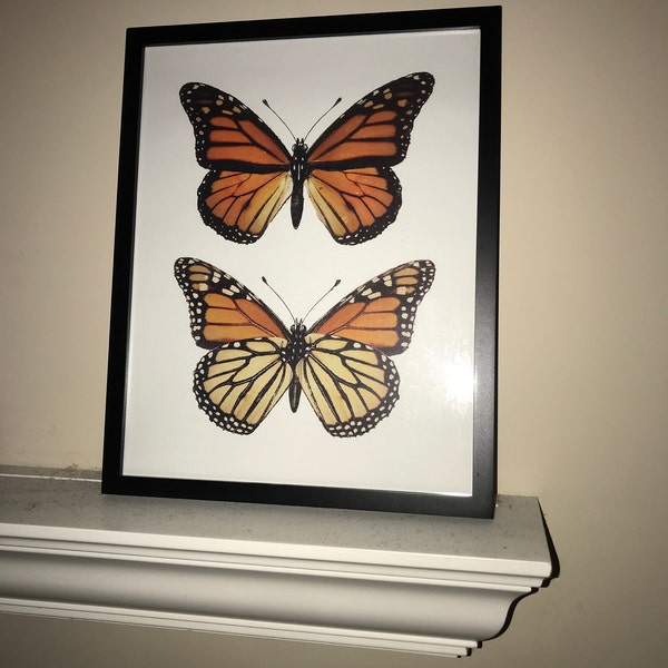 Monarch Butterfly Print | Monarch Print | Butterfly Art Print | Dorm ...