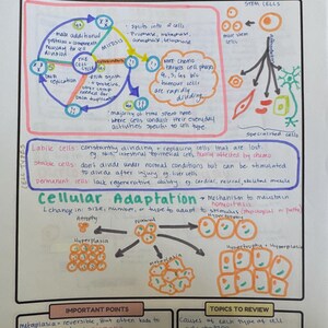 Emergency Care Cheat Sheet Nursing Study Sheets Med School Learning ...
