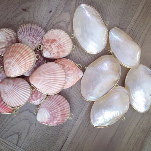 Real Seashell Trinket, Coin, Pill, Jewelry Box or Purse ~ Available in ...