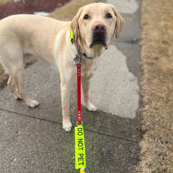 1 Do Not Distract Leash Sleeve, Snap-on Sign, Customizable, Leash Wrap ...