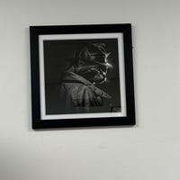 Grizzly Bear Bunt Splash Quadrat Wand Kunst gerahmte Leinwand Bild ...