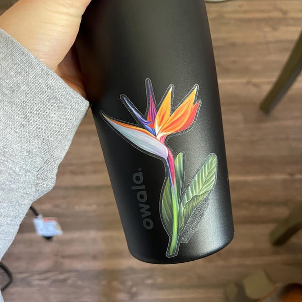 Deluxe MAGNETIC Locking Pin Back for Enamel Pins (rad Backs), Set of 2 ...