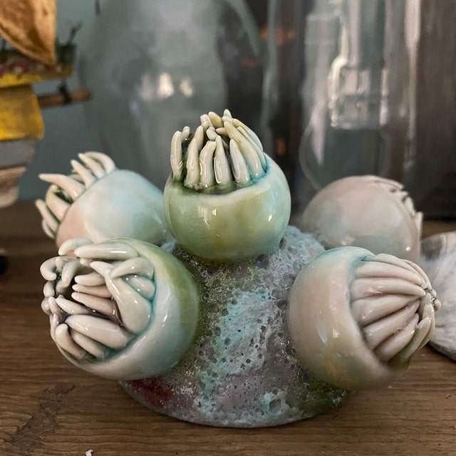 MakingPotteryShop (by Michelle Aitken) - Etsy