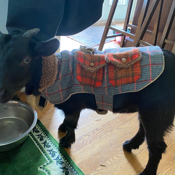 Harris Tweed Dog Jacket, Vintage Wool Dog Jacket, Recycled Dog Clothes ...