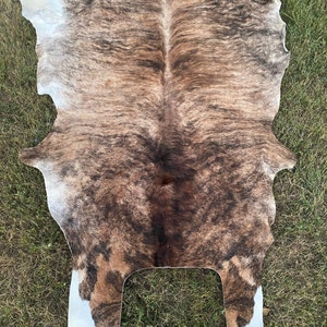 TRICOLOR EXOTIC Large New Cowhide Rug Natural Hair on 6X6 Ft Size - Etsy