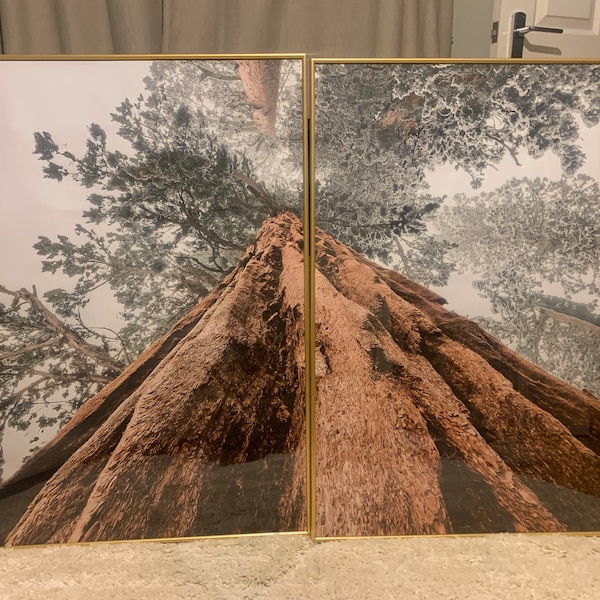 Printable Tree Split Photography, Printable Sequoia Redwood 2 Pieces ...