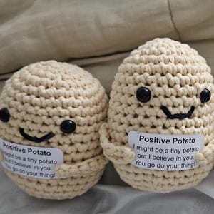 Emotional Support Pickle No Sew Digital Crochet Pattern - Etsy