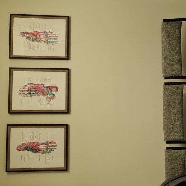 Foot Bones Anatomy Print Set of 6 Podiatry Art Medical Poster ...