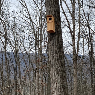 Barred or Great Horned Owl Nesting Box Made of Pine and Cedar - Etsy