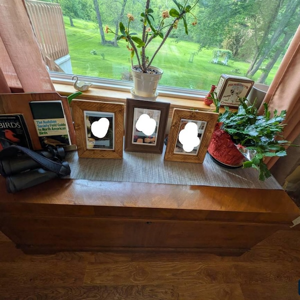 3-pack, 5x7 (1x2 Pine) Stained Wood Frames. Great Country Appeal ...