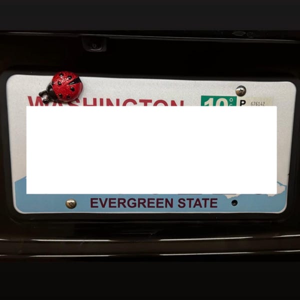 Lady Bug License Plate Screws - Etsy
