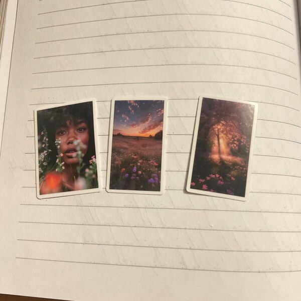 Shark Shirt, Cottagecore Shirt, Shark Species Tee, Great White ...