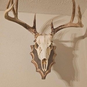 Barnwood European Table Mount - Etsy