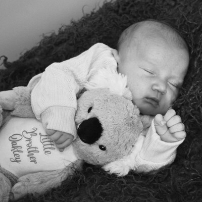 Personalised Bunny Rabbit Cuddly Toy New Baby Gift Soft Plush Grey ...