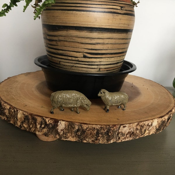 Dried Long Stem Tallow Berry Bundle - Tallowberries - Natural Decor ...