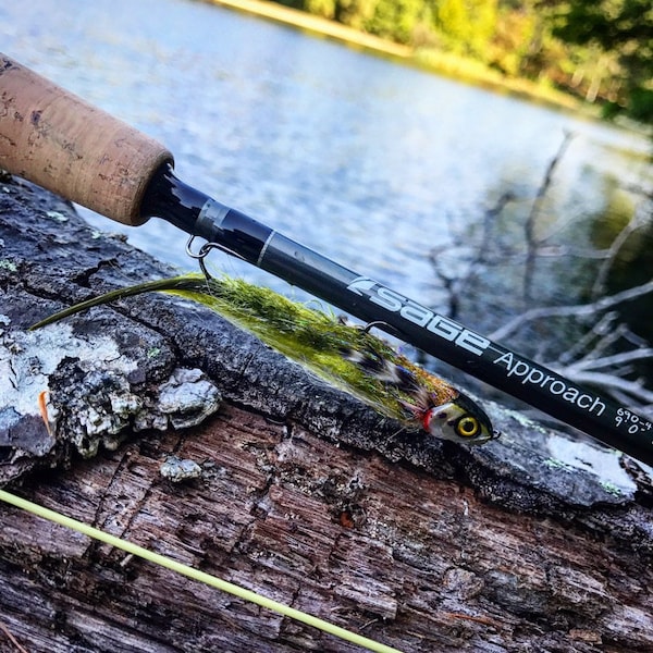 20 Baby Rainbow Trout Flies -- Articulated Fly Fishing or Spin Rod ...