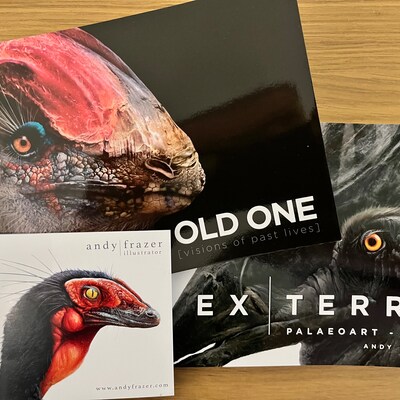 Draco Minimus Book - Etsy