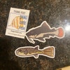 Magnet Set 7 Cephalopods, Flamboyant Cuttlefish, Pajama Squid, Nautilus ...