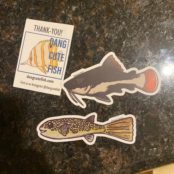 Tiger Shark Sticker - Elasmobranch, Shark Gift, Dang Cute Fish - Etsy