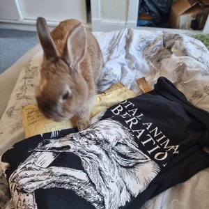 Fall of Efrafa Enamel Pin Watership Down Rabbit Black Rabbit - Etsy