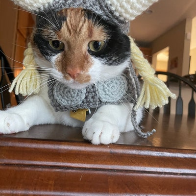 Brunhilde, Vikings, Valkyries, Wagner Opera, Hats for Cats, Pet Hats ...