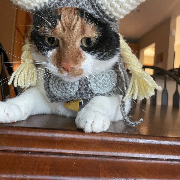 Brunhilde, Vikings, Valkyries, Wagner Opera, Hats for Cats, Pet Hats ...