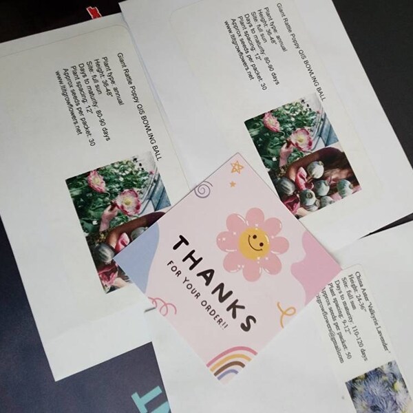 Amaranth 'mira" 50 Seeds/pkt - Etsy