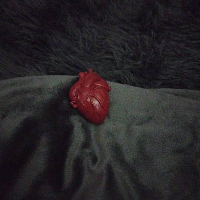 Anatomical Heart Magnet Set, Medical Human Organs Kitchen Magnet, EMS ...