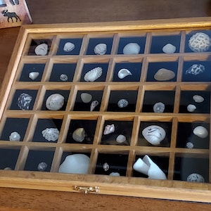 Small Shadow Box Tray - Etsy