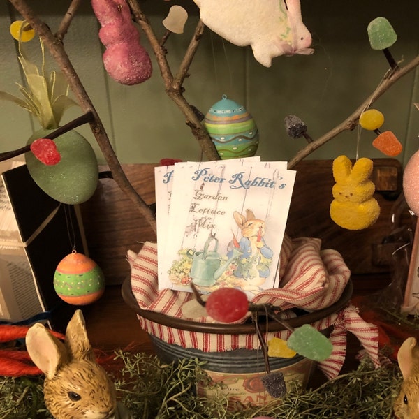PETER RABBIT Filled Seed Packet Favors - Gourmet Lettuce Mix - by the ...
