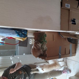 The Castle Corrugated Cardboard Castle for Bunny Rabbits & Cats - Etsy UK