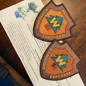 Princess Snow White Patch Classic Disney Movie Craft Apparel - Etsy