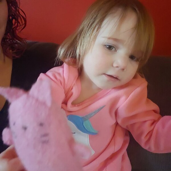 Mini Rabbit, Bunny, Cat, Fox Plush, Koala, Bear Custom,small Stuffed ...