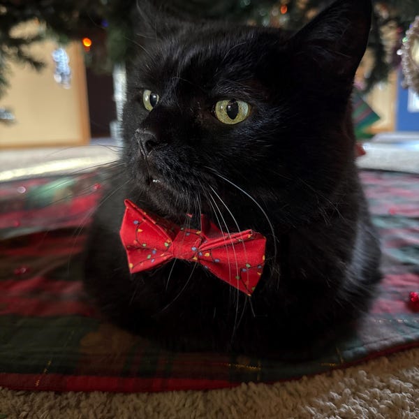 Christmas Plaid Dog Bow Tie / Dog Bow / Holiday Bow / Girl Dog / Boy ...