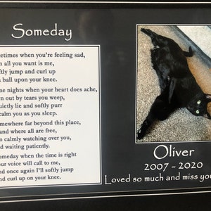 Personalised Pet Cat Memorial Bereavement Sympathy Gift Mounted Print ...
