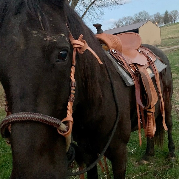 Handmade Bosal Set, 40 Plaits Rawhide Natural Bosal Set, Bosal Set ...