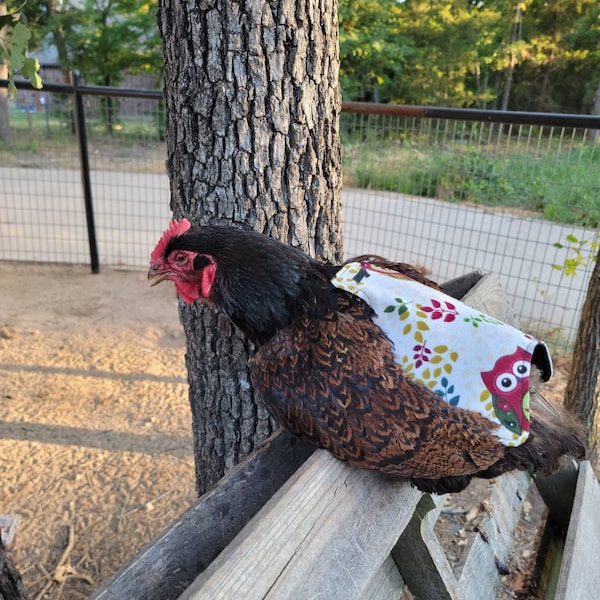 Chicken Diapers/ Hen Diapers/ Birds Diapers/rooster Diaper - Etsy