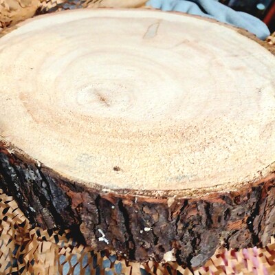 Maple Slab, Wood Slice, Large Live Edge Spalted Maple Tree Slice, Wood ...