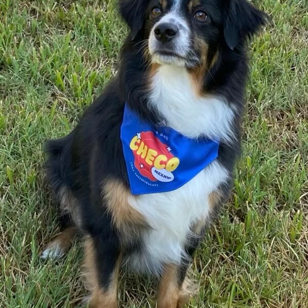 Formula 1 Charles Leclerc Dog Bandana Ferrari F1 Racing Dogcollar ...