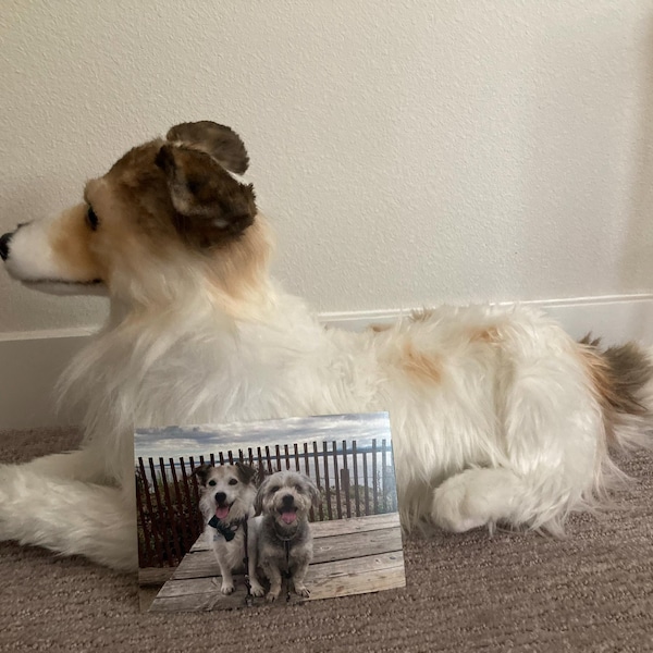 Custom Life Like Dog Plushie Clone - Etsy