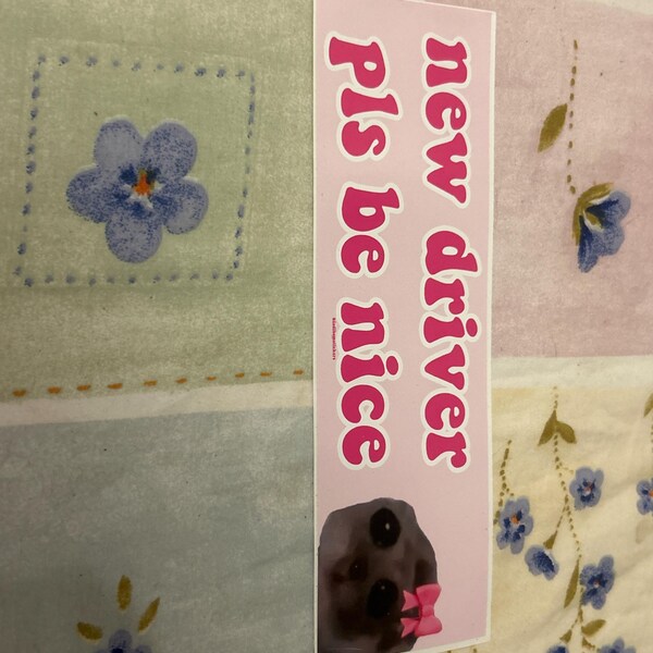 New Driver Pls Be Nice | Bumper Sticker AND Magnet | Funny Meme Sticker ...