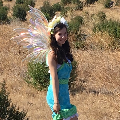 SYLPH WINGS Iridescent Fairy Wings - Etsy