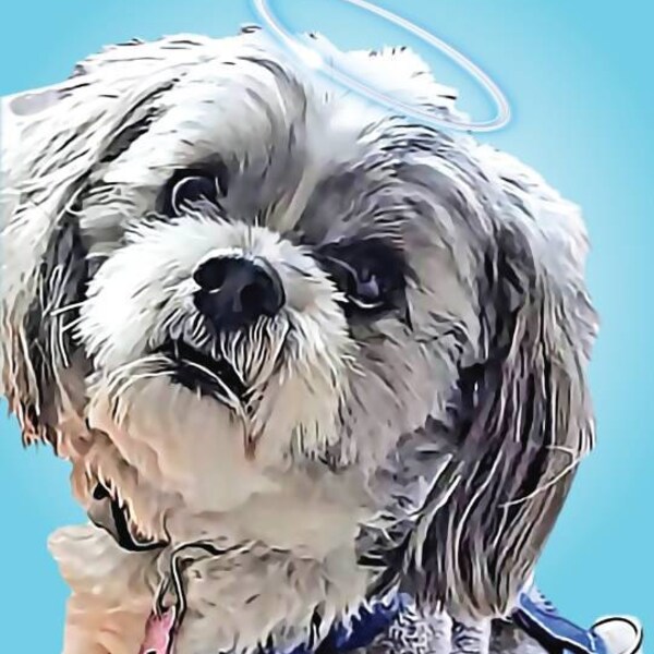 Please Do Not Flush...— Funny Bathroom Rules Canvas, Toilet Humor ...